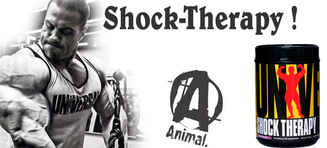 SHOCK THERAPY Universal – ProteineTOP